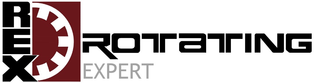Home - Canned Motor Pump Repair l Rotating Expert